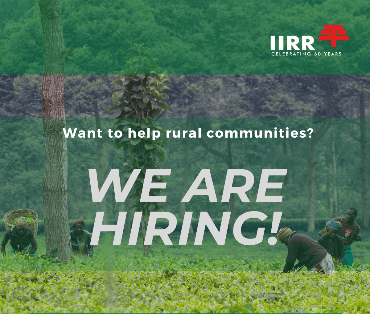 Project Officer [Intern] - IIRR