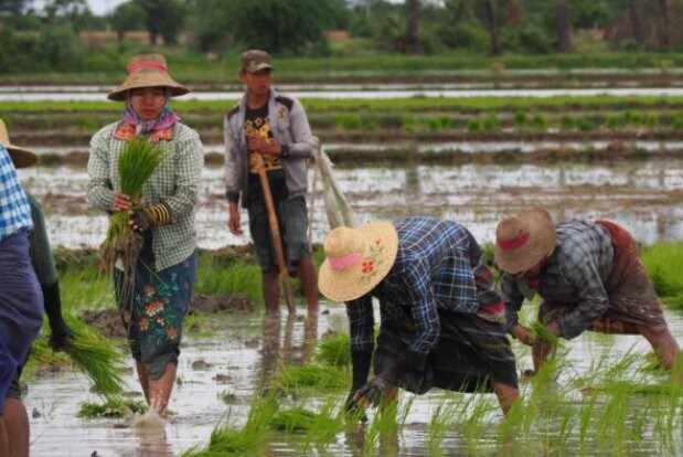 New Funding Partners - IIRR