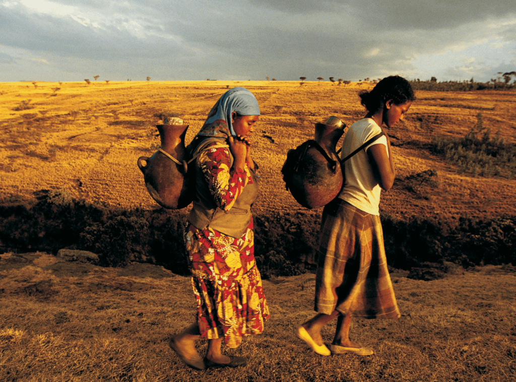 Rural Insights - IIRR